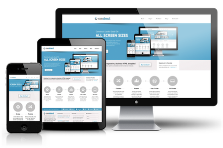 ISAAC NANA BOTWE - CEO